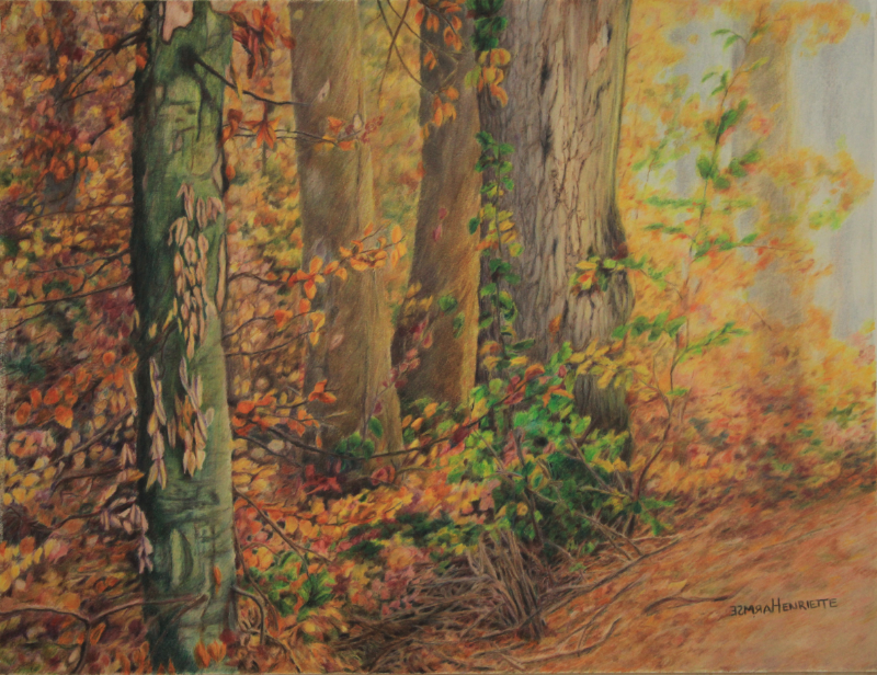 Henriette Harmse